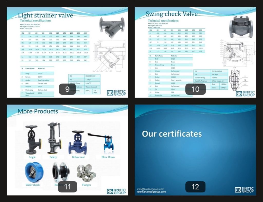 Valves, Flanges and Pumps - Global Experts Consultoria